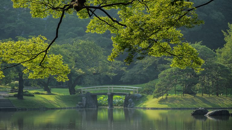 Bridge over river against trees, Tokyo, Japan | Windows Spotlight Images