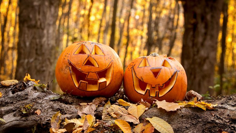 Two carved Halloween pumpkins sit on log in forest of magical light ...