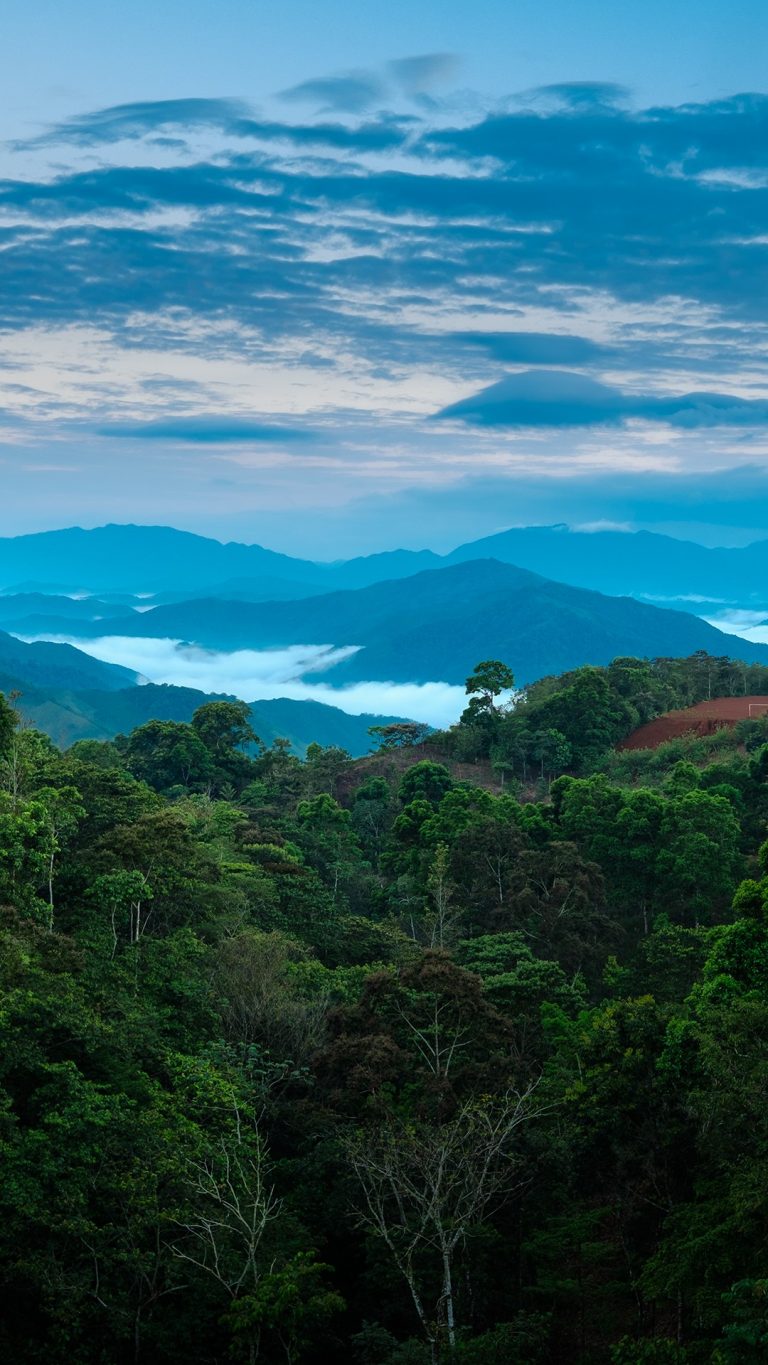 f595ebe4e7ad419e4181acd9e10f7b2b | Windows Spotlight Images