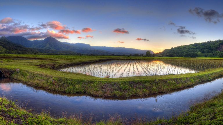 Luxor sunset on the Nile River, Aswan, Egypt | Windows Spotlight Images