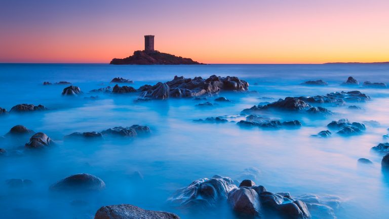 Black tailed deer and mountains, Olympic National Park, Olympic ...