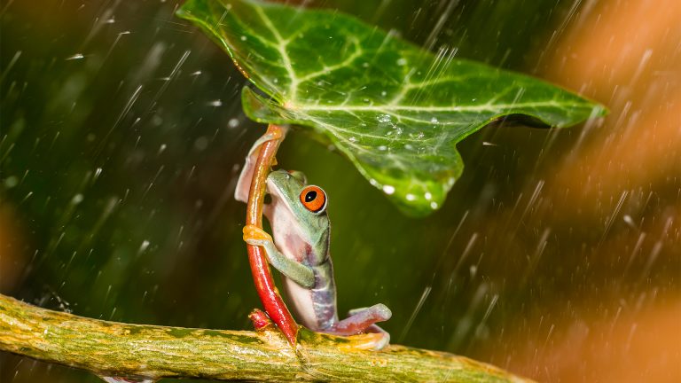Metal stairs on industrial building | Windows Spotlight Images