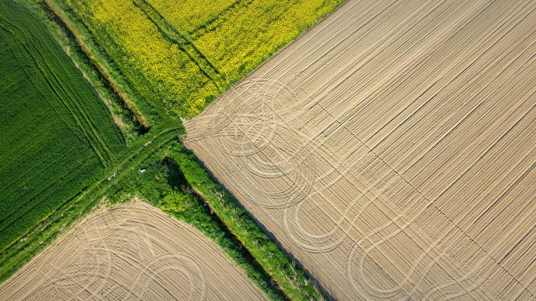 Close-up portrait of goats, Aldridge, UK | Windows Spotlight Images