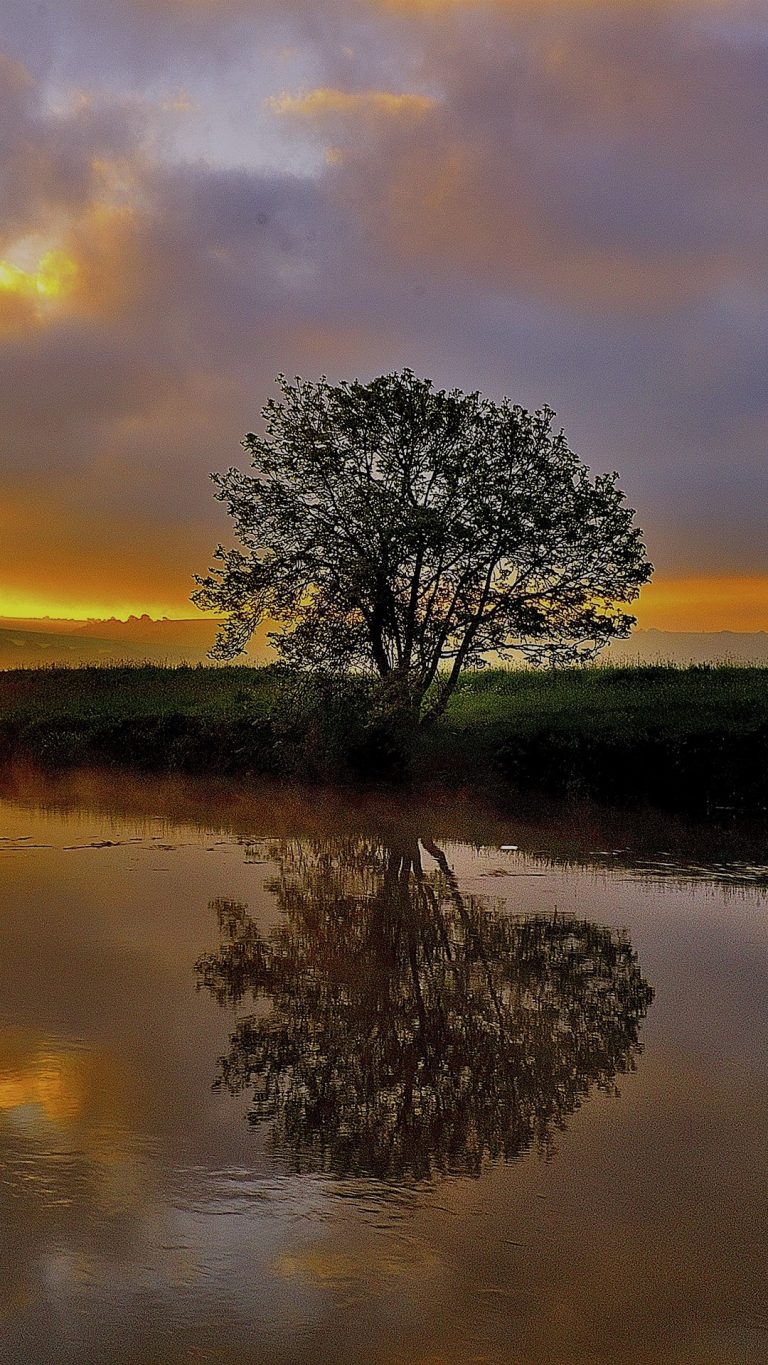 Sunrise Wonder, River Arun, England, UK | Windows Spotlight Images