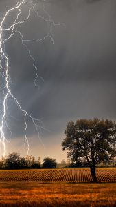 Lightning over field in autumn | Windows Spotlight Images
