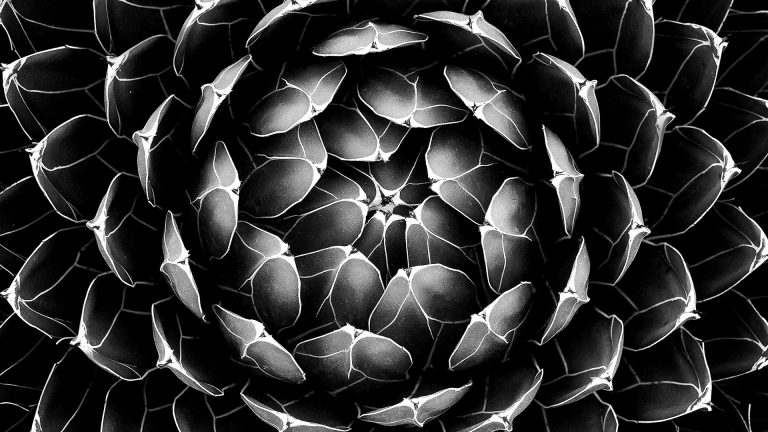 Scenic view of train on viaduct in winter forest among mountains ...