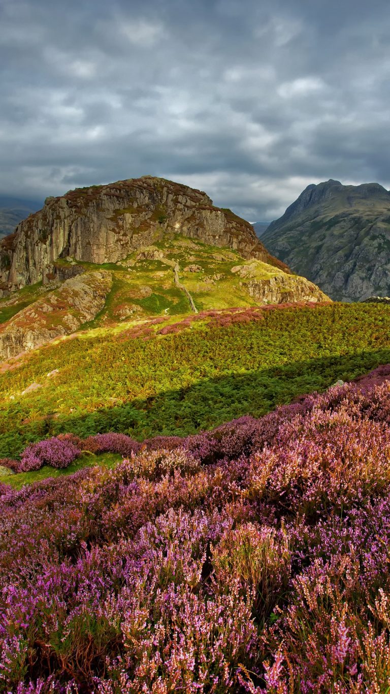 Lingmoor Fell (Side Pike) with Langdale Pikes behind, Lake District ...