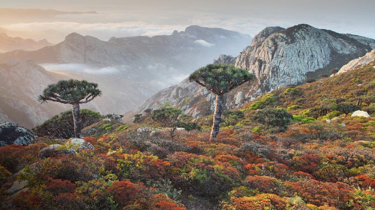 Minokake Rock with the Milky Way, Izu peninsula, Shizuoka, Japan ...