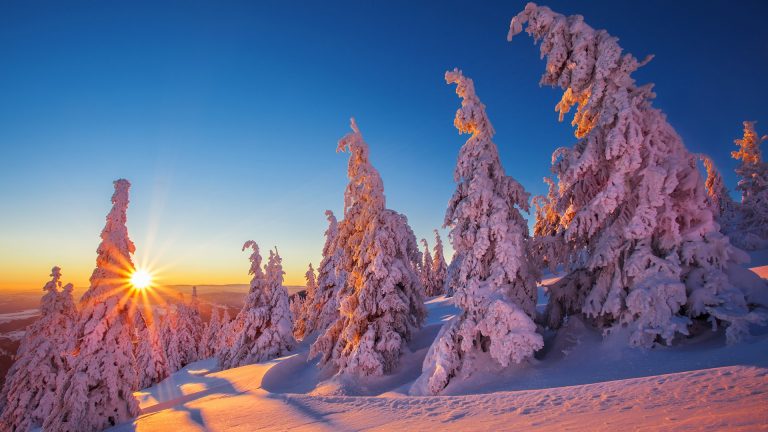 Morning light in Vladeasa Mountains, Romania | Windows Spotlight Images