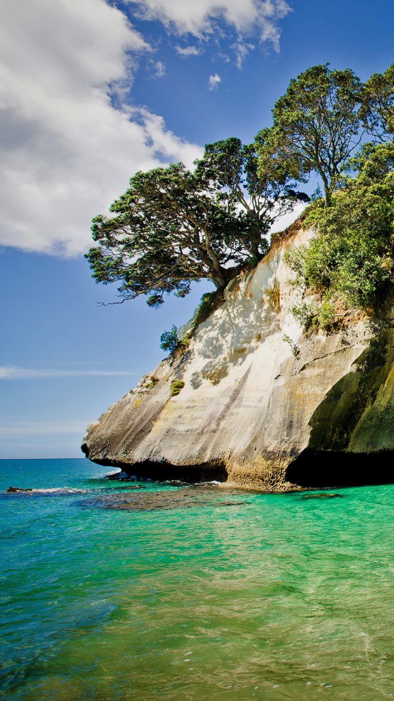 Cathedral Cove marine reserve on Coromandel Peninsula, New Zealand ...