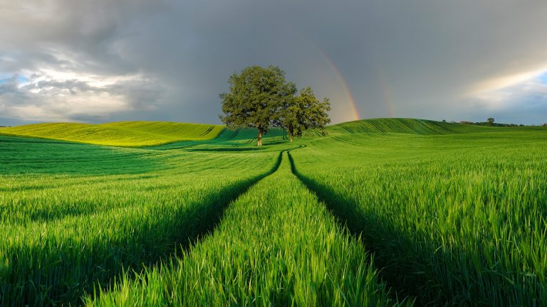 Long Room in the Trinity College Library, Dublin, Ireland | Windows ...