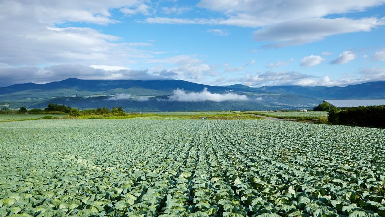 Japan | Windows 10 Spotlight Images - Part 20