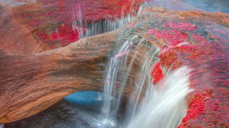 bloom | Windows 10 Spotlight Images - Part 8