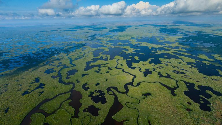 Wetland aerial view in Everglades National Park, Florida, USA | Windows ...