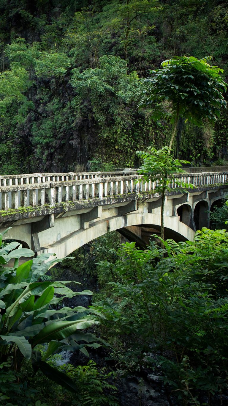 Old bridge on road to Hana Maui in rainforest on Maui, Hawaii, USA ...