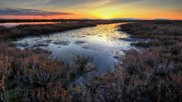 Fire Marsh, sunset over swamp, Vallejo, California, USA | Windows ...
