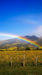 Scenic view of field against sky | Windows Spotlight Images