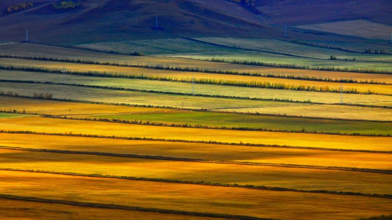 Aerial view of multicolored autumn, Chifeng, Inner Mongolia, China ...