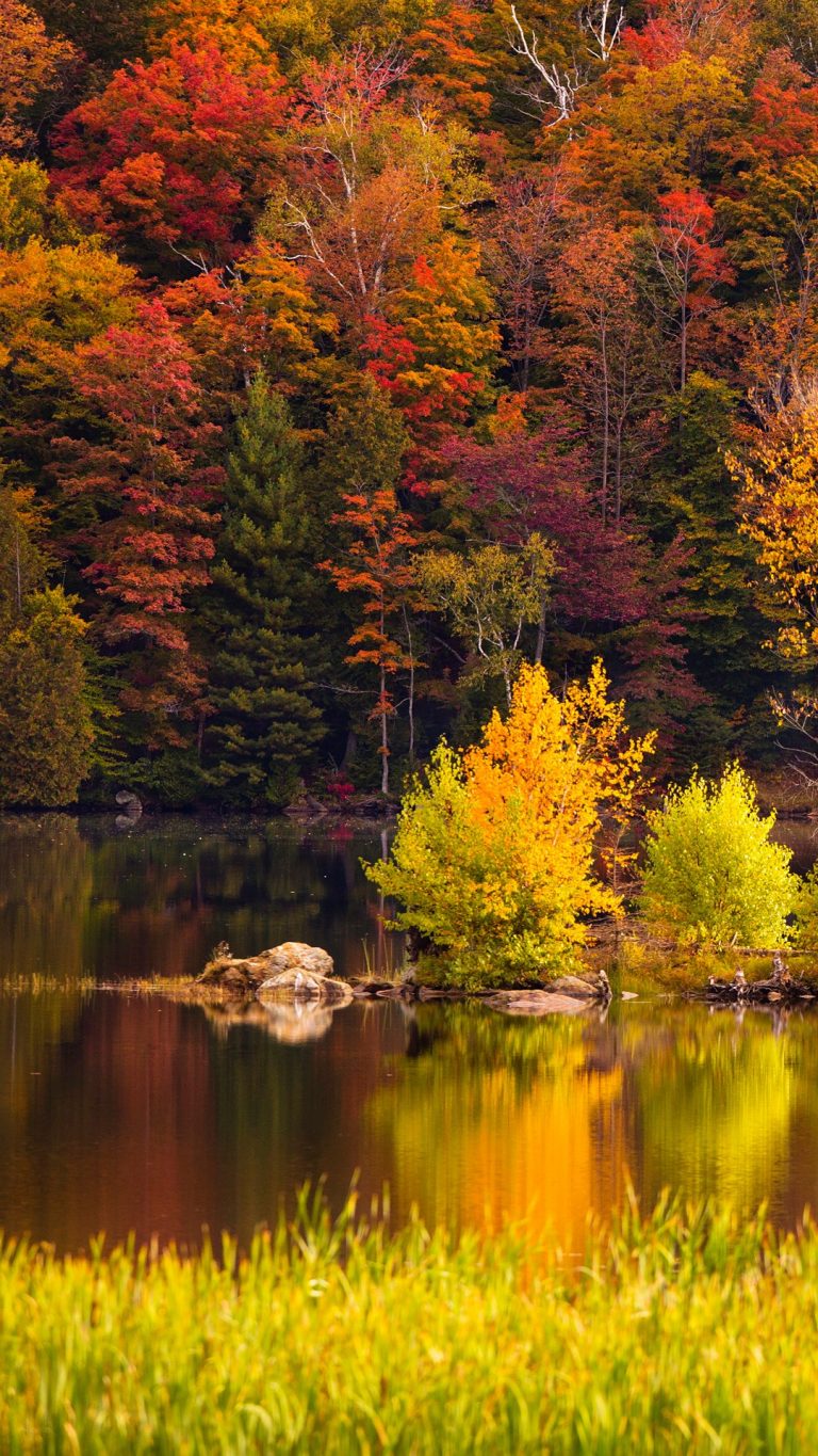 Peak New England foliage around Kent Pond in Killington, Rutland County ...