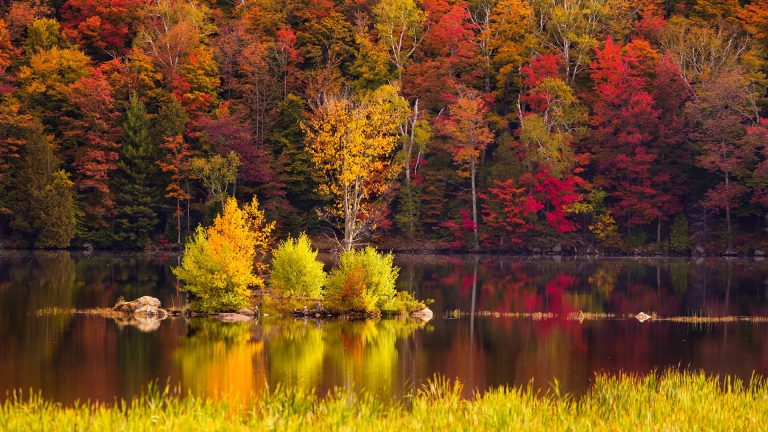 Peak New England foliage around Kent Pond in Killington, Rutland County ...