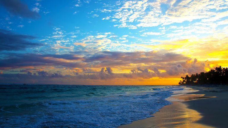 Arashiyama Bamboo Forest in autumn, Kyoto, Japan | Windows Spotlight Images