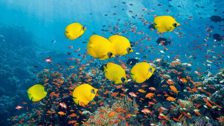 The Inca Bridge (Puente del Inca) at sunset, Central Andes, Mendoza ...