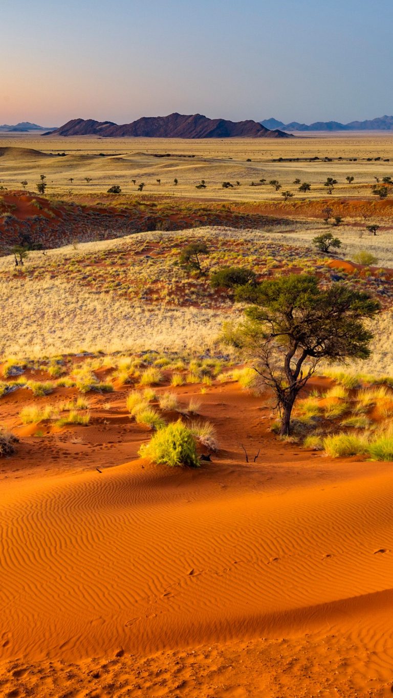 Sunset light over the wide open landscape of the Namib-Naukluft ...