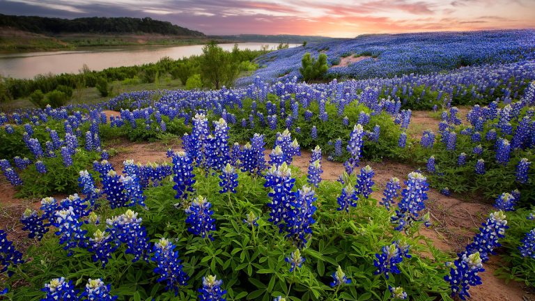 View of Nazas River at sunrise in area of Canon de Fernandez in Durango ...