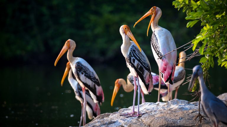 Night landscape with Milky Way Galaxy above the Black sea, Bulgaria ...
