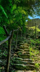 Caracol Temple and Archeological Reserve, San Ignacio, Cayo District ...