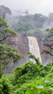 Chutes d'Ekom Waterfall on Ekom Nkam river deep in the tropical ...