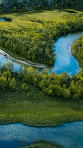 Swamp, river and trees seen from above, Straumbu, Hedmark county ...