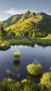 View on Hirschbichl from Defereggen Valley, High Tauern National Park ...