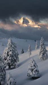 Winter landscape illuminated by sunset light, Big Pasture Plateau ...